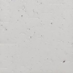 Grove Twenty Field Tile in Bliss Glossy Sample | Waterworks
